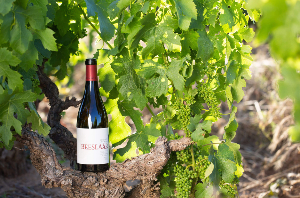 Beeslaar February 2025 Release