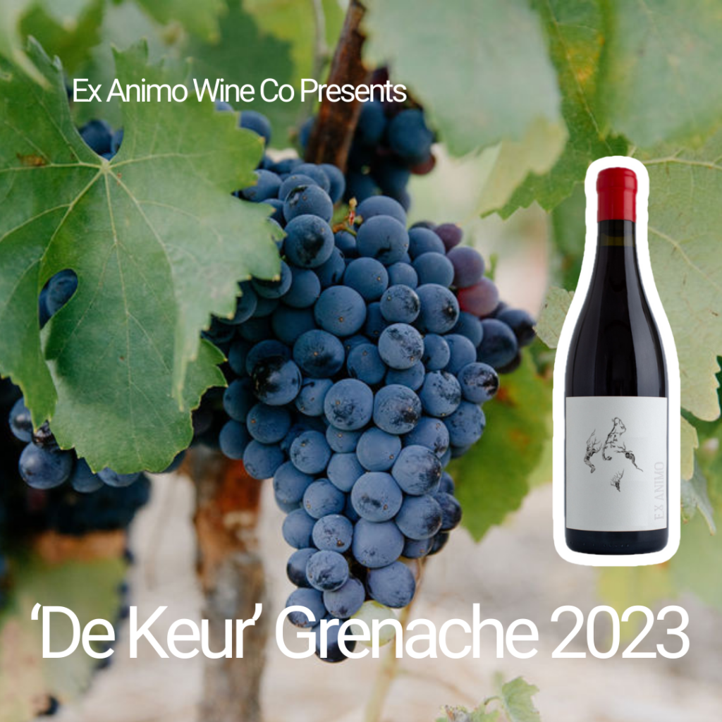De Keur Grenache | The Second Vintage - Ex Animo Wine Co.