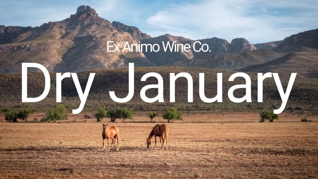Dry January: Embrace the Dry - Ex Animo Wine Co.