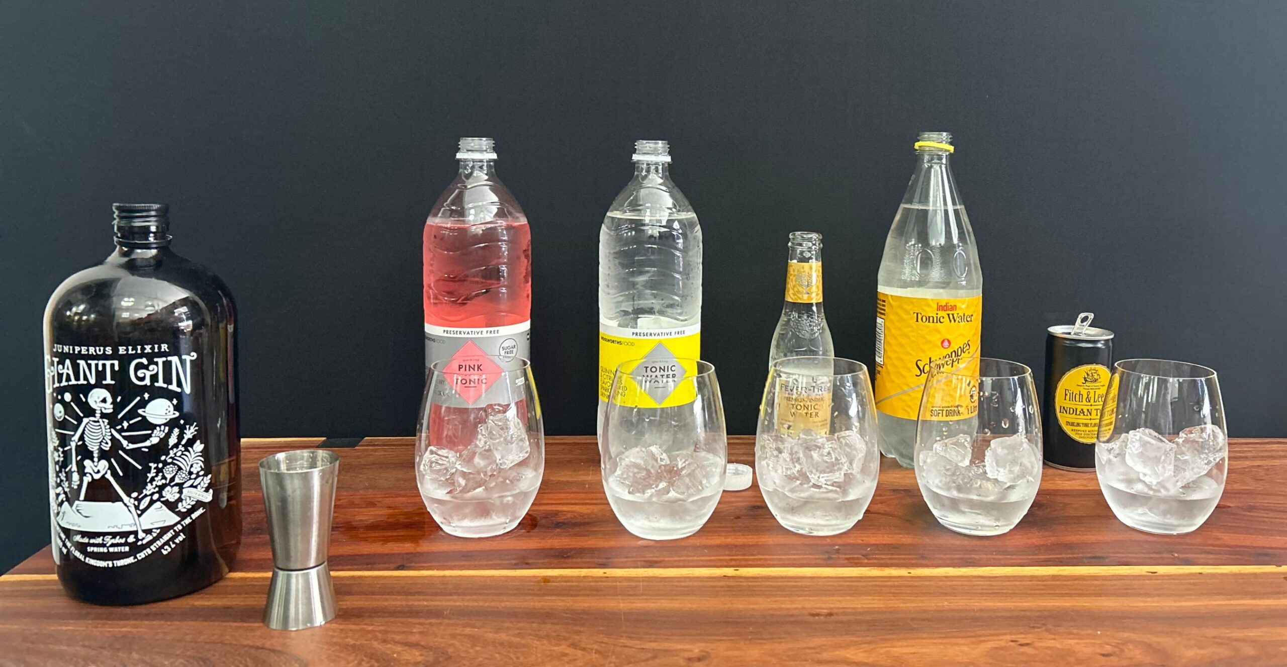 A Giant Gin and Tonic Tasting