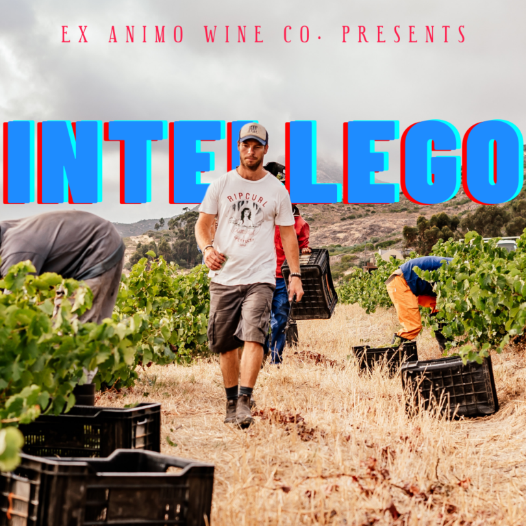 Home - Ex Animo Wine Co.