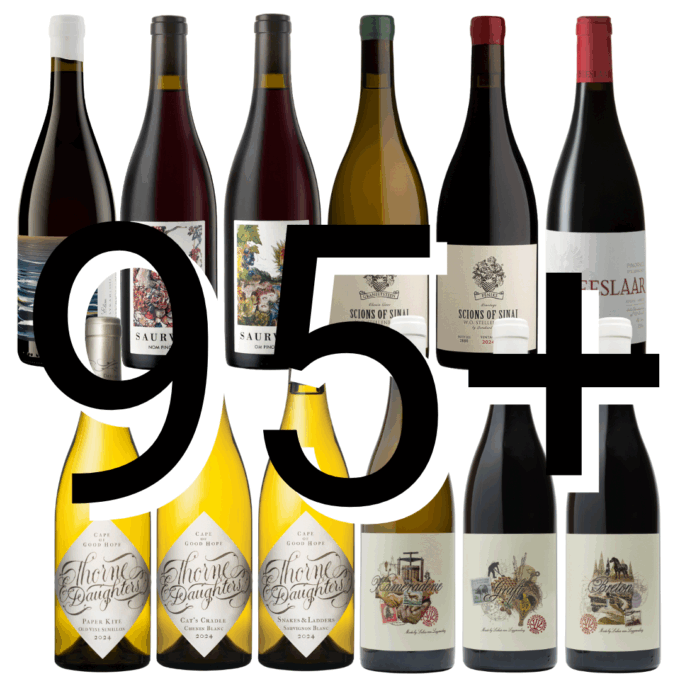 Tim Atkin | South Africa Report 2025 - Ex Animo Wine Co.